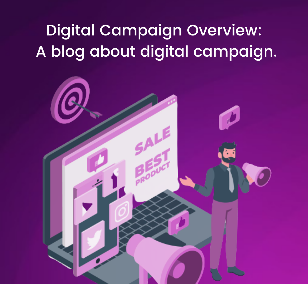 Digital Campaign Overview: A blog about digital campaign.